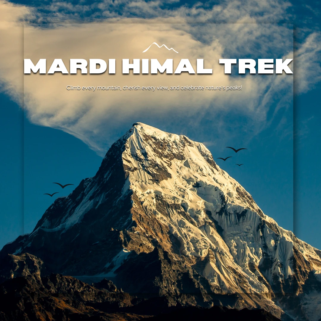 Mardi Himal Trek for Beginners: A Step-by-Step Guide